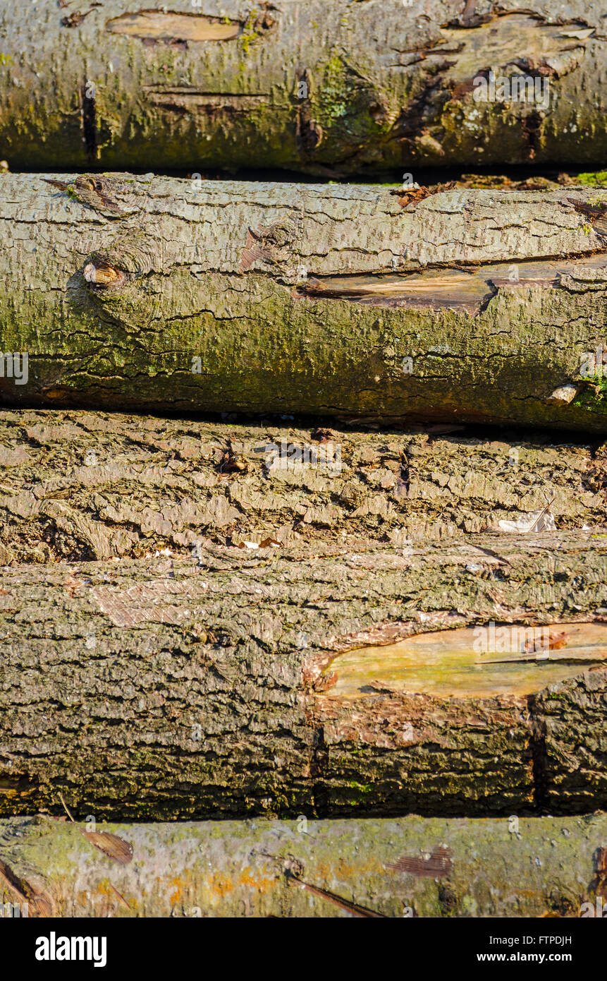 logs stacked showing textured bark Stock Photo - Alamy