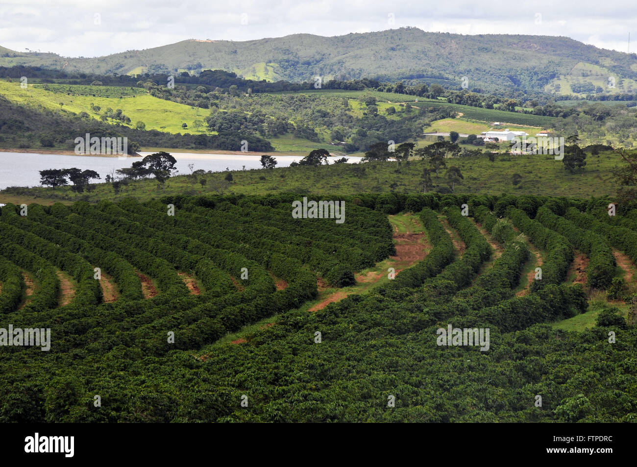 Farm dam hi-res stock photography and images - Alamy