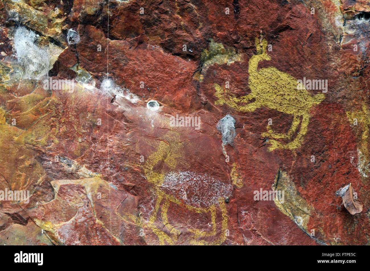 Rock inscriptions dated 7000 years at an altitude of 1250 meters Stock ...