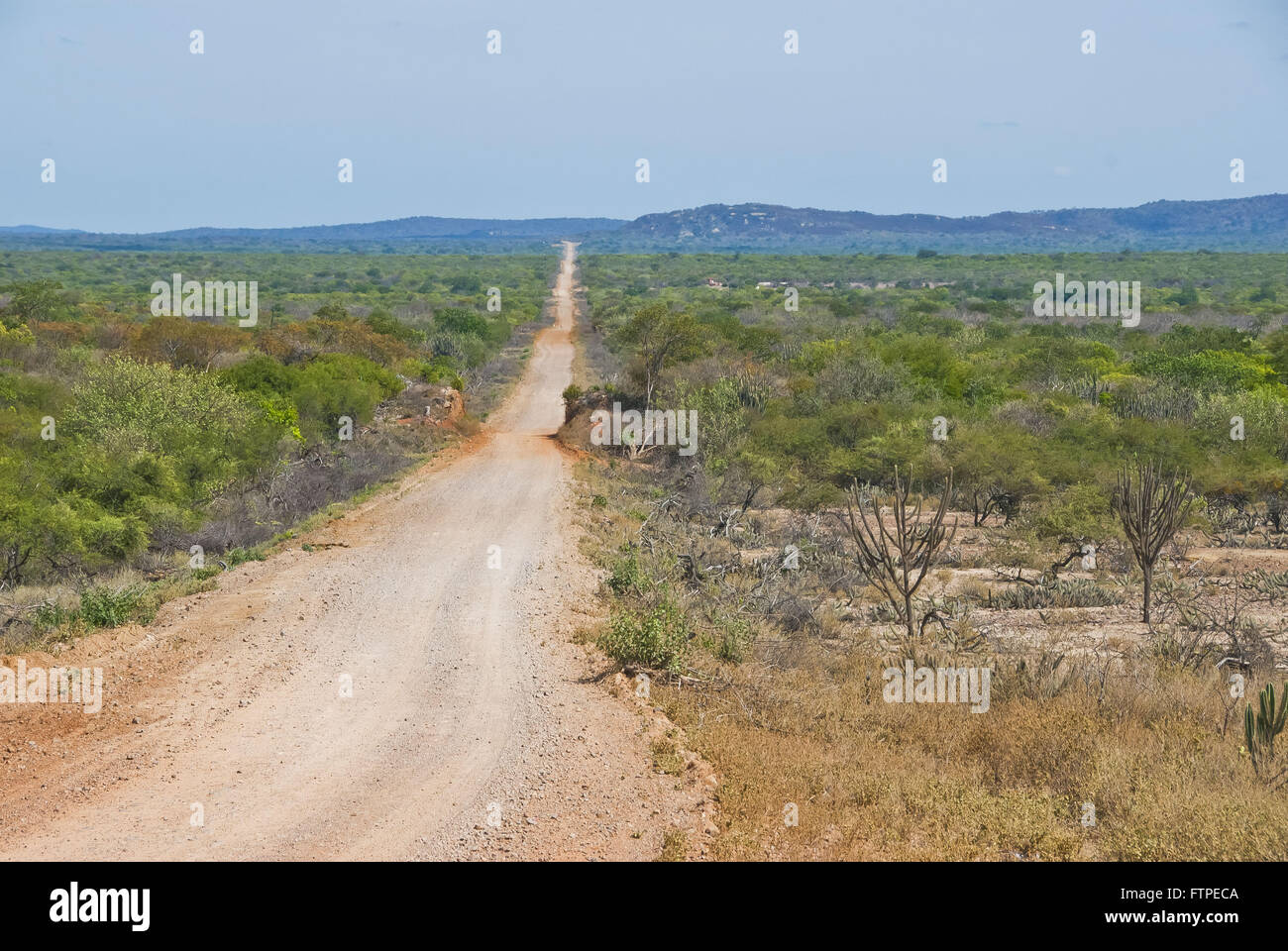 Straight unpaved dirt road hi-res stock photography and images - Alamy