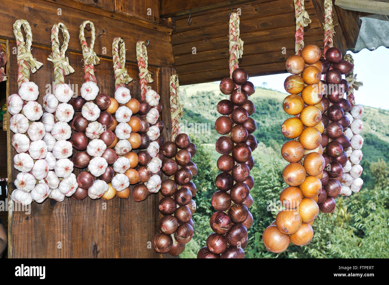 Onion tent hi-res stock photography and images - Alamy