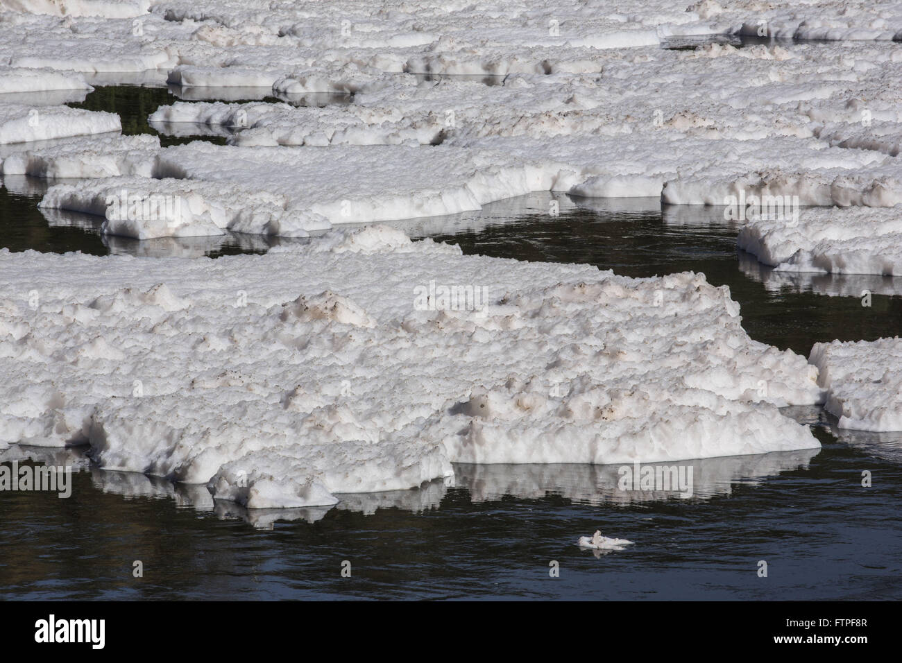 Tiete River polluted by excessive waste discarded in the water - soap ...