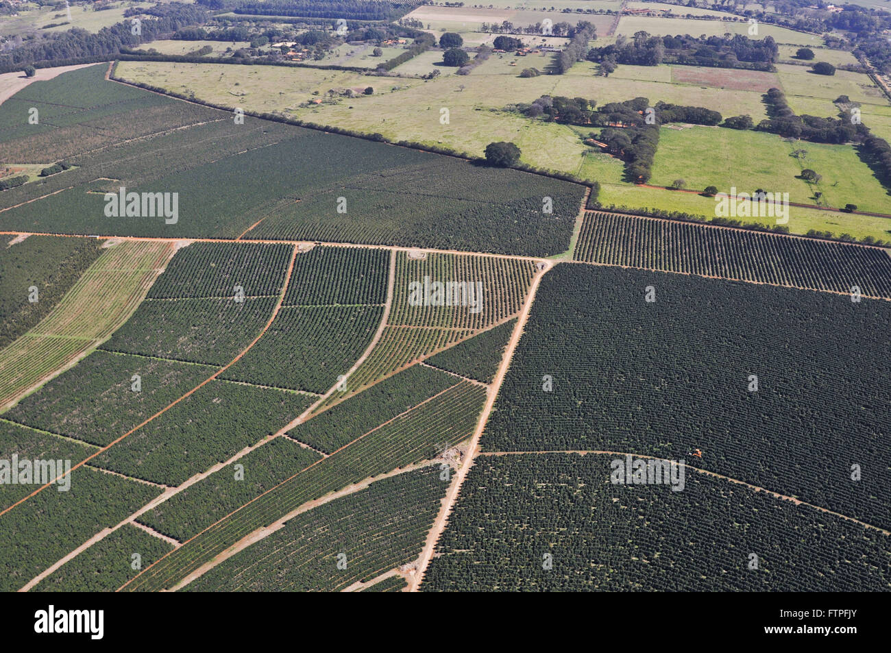 Aerial and coffee plantation hi-res stock photography and images - Alamy