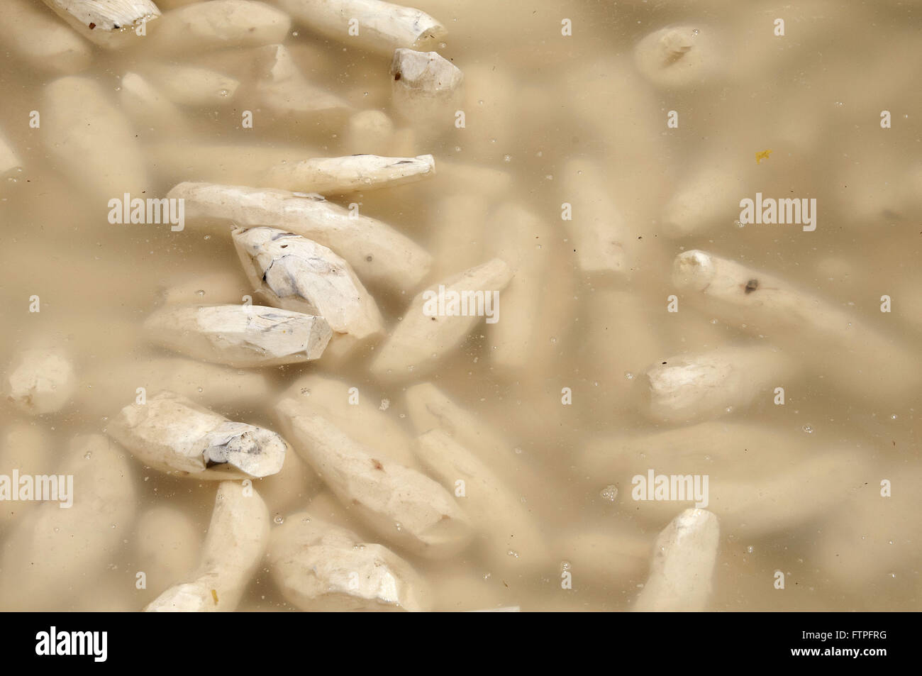 Cassava preparation hi-res stock photography and images - Alamy