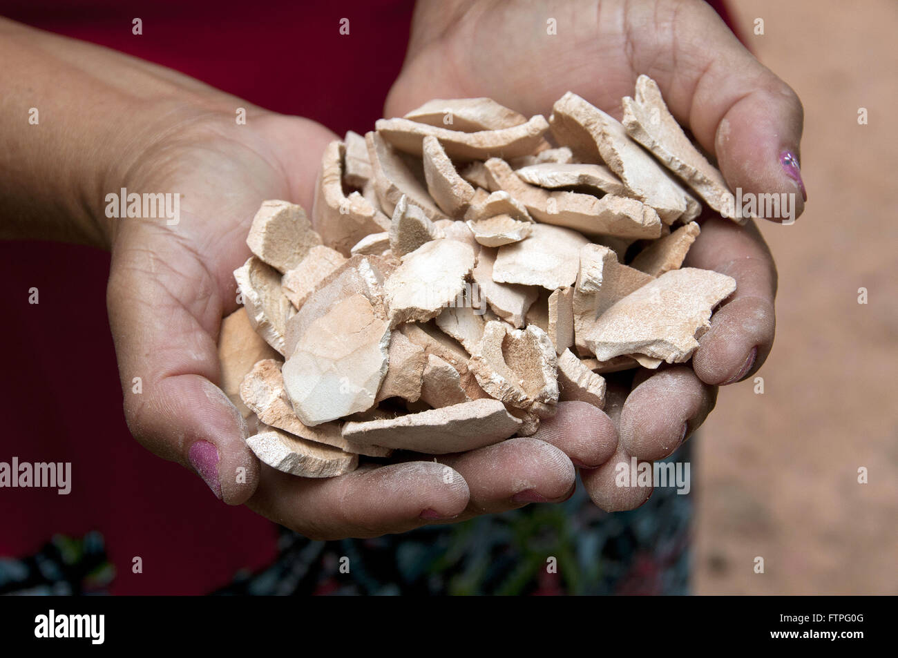 Babassu fruit hi-res stock photography and images - Alamy