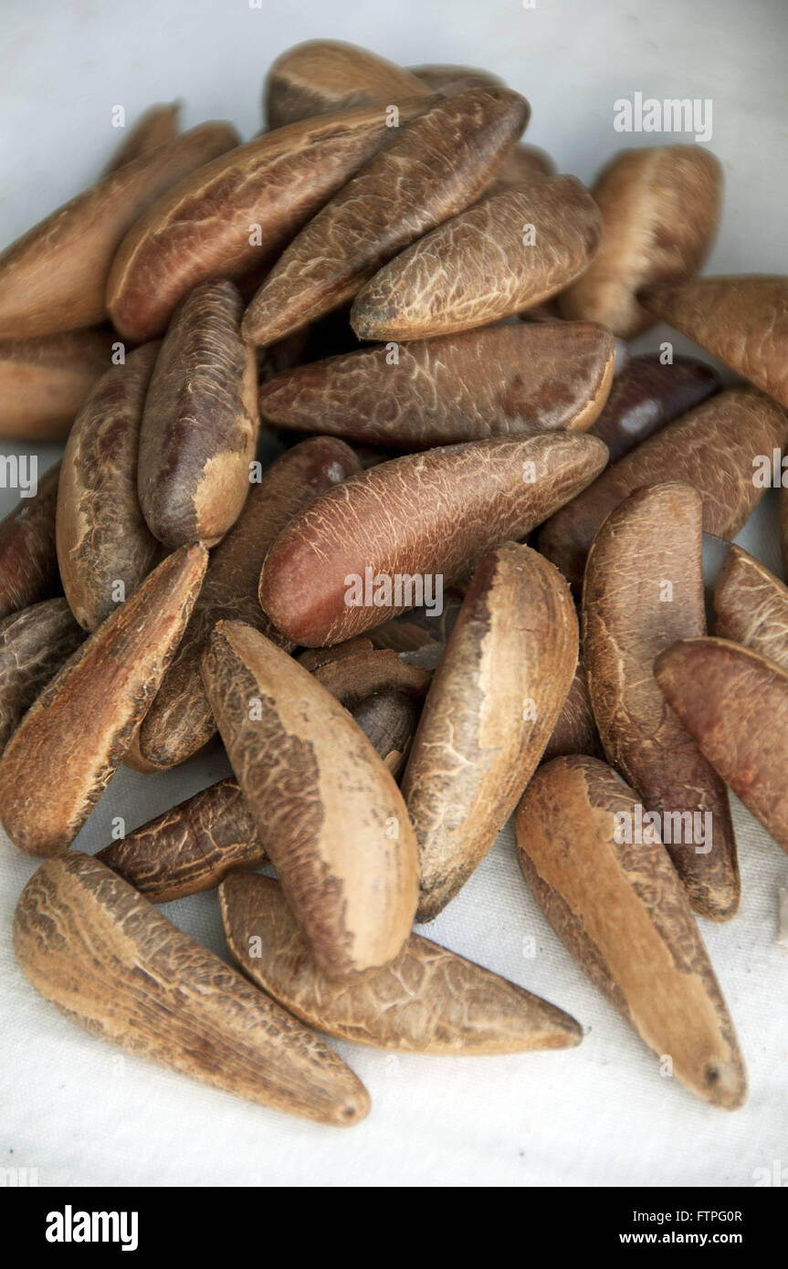 Chestnuts Coconut babacu - extractive reserve in northern state of ...