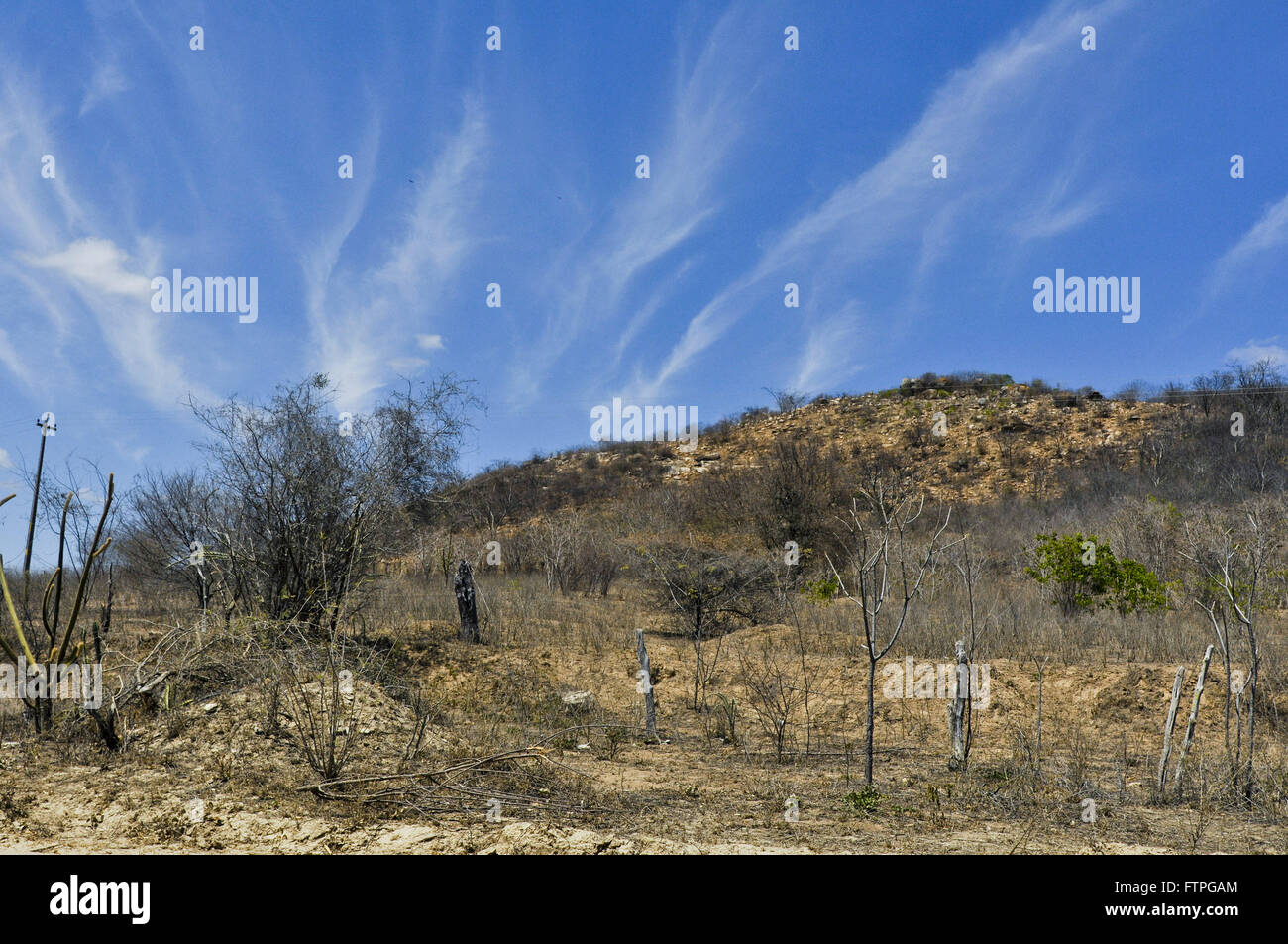 Arid region hi-res stock photography and images - Alamy