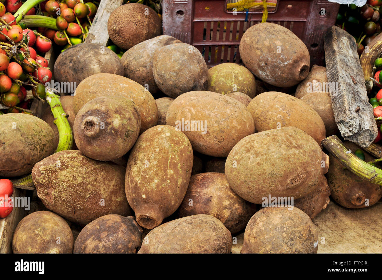 Cupuacu hi-res stock photography and images - Alamy