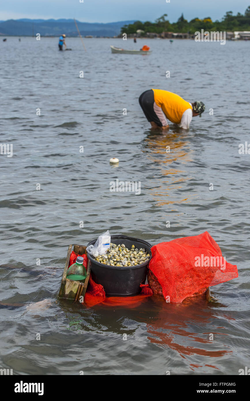 Cockles beach High Resolution Stock Photography and Images - Alamy