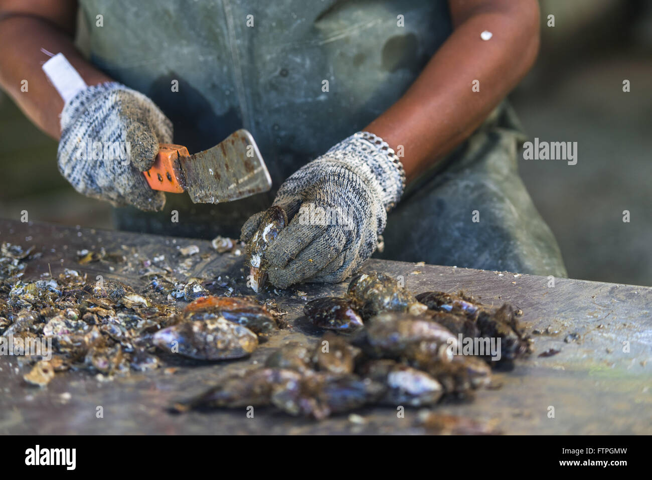 Seafood processing hi-res stock photography and images - Alamy