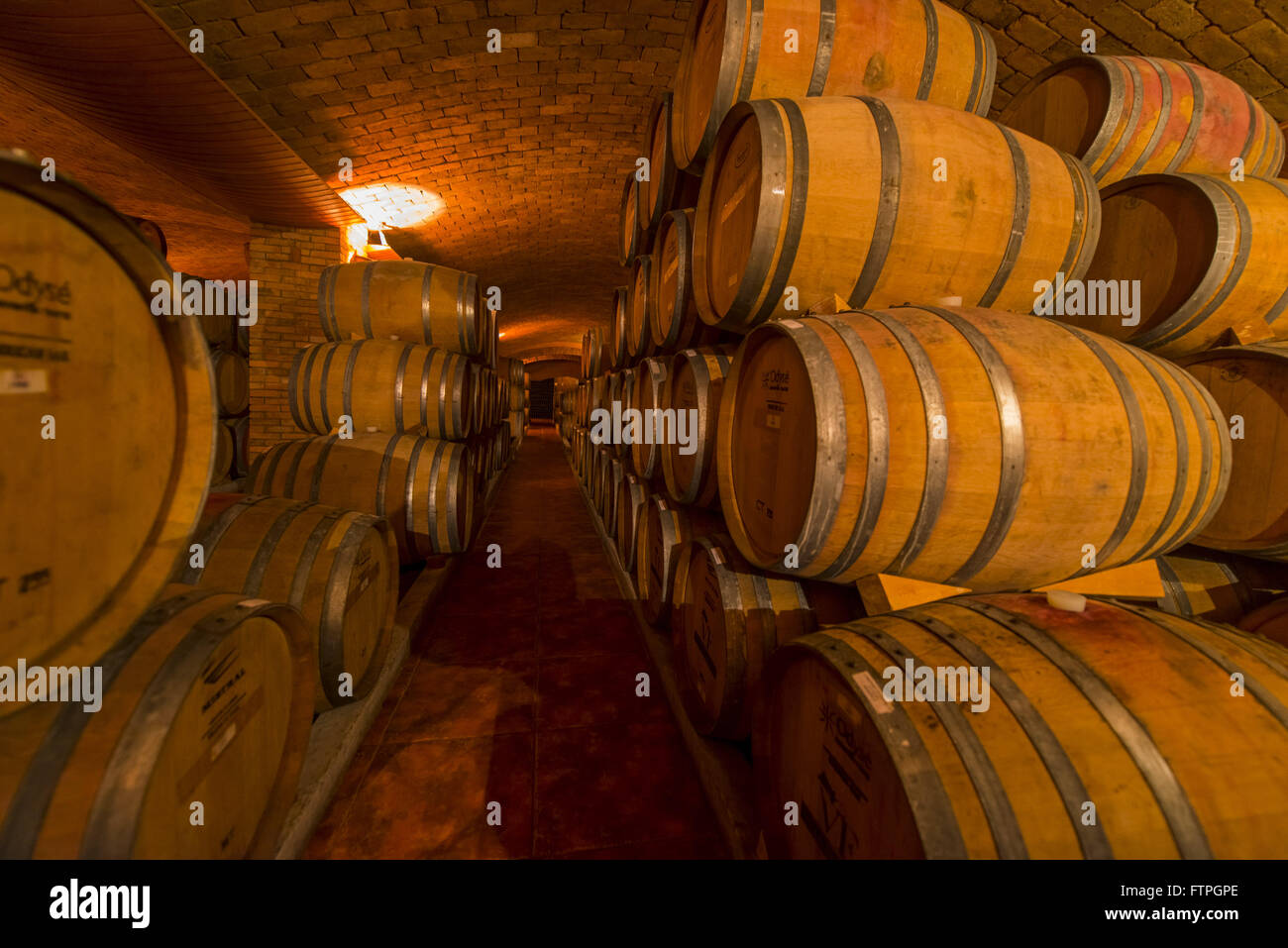 Inside view of the winery Villa Francioni Stock Photo - Alamy