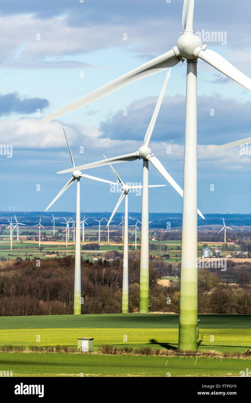Wind park, wind power plant, turbines near Ense, Germany, in the back a ...