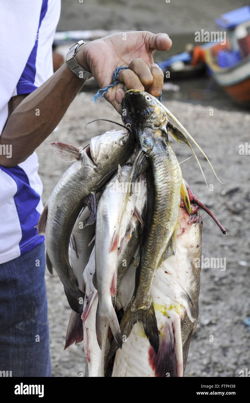 Fisherman holding fish in the harbor village of Treme Stock Photo - Alamy