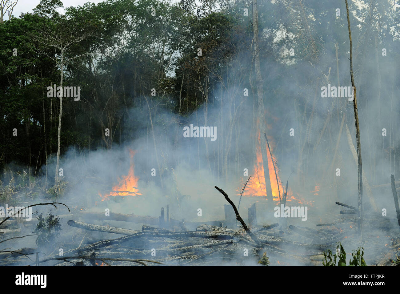Cutting area hi-res stock photography and images - Alamy