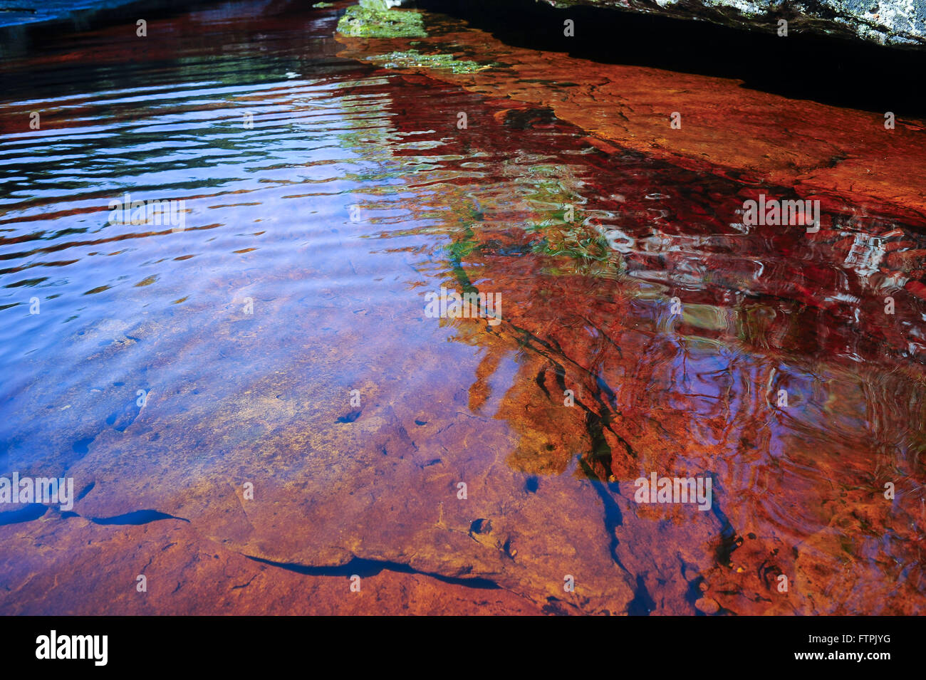 Landscape with water on the trail to Waterfall in Chapada Diamantina ...