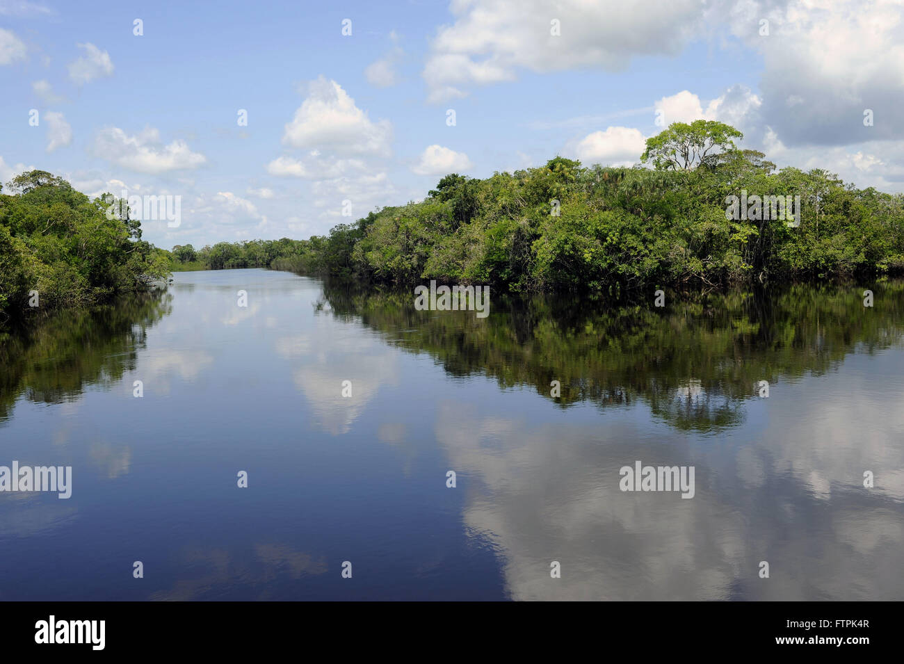 Arrack in the amazon river in the municipality of Barcelos Stock Photo ...