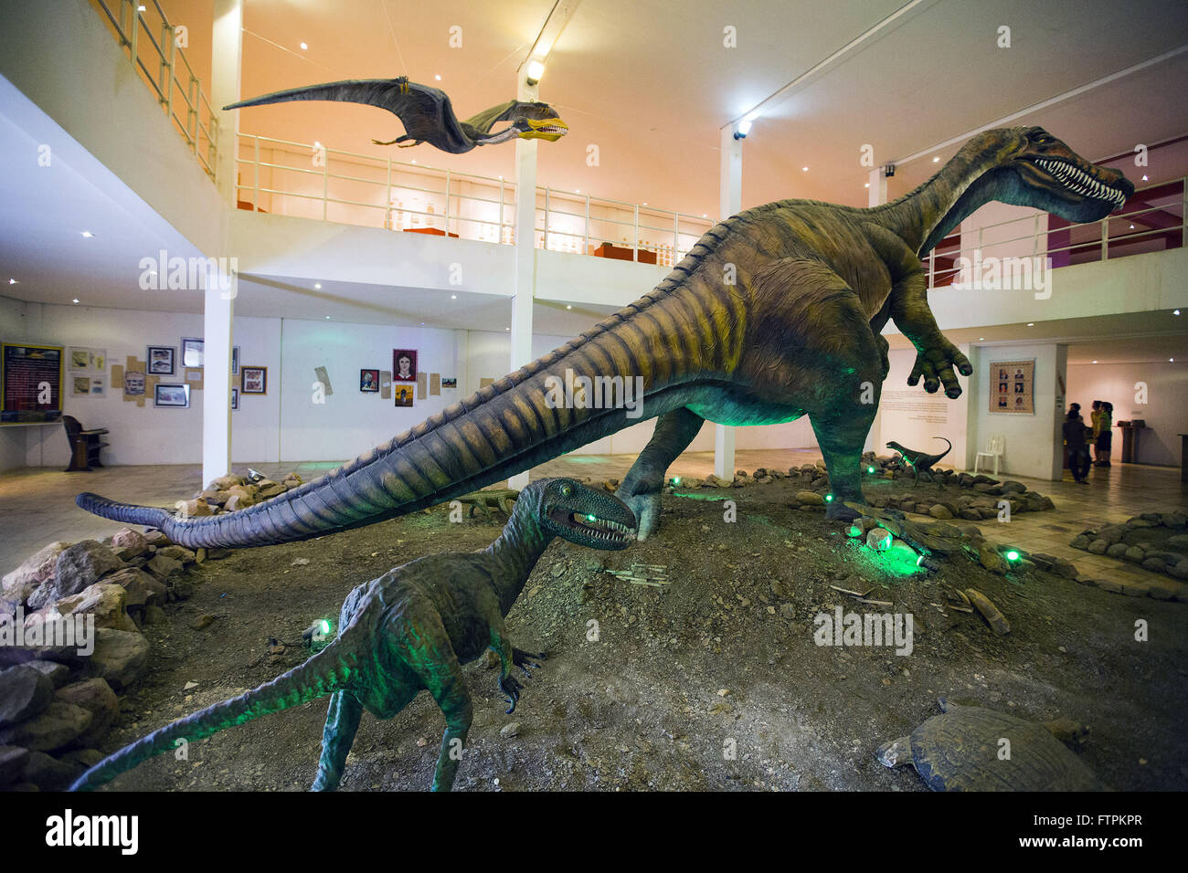 Paleontology hi-res stock photography and images - Alamy
