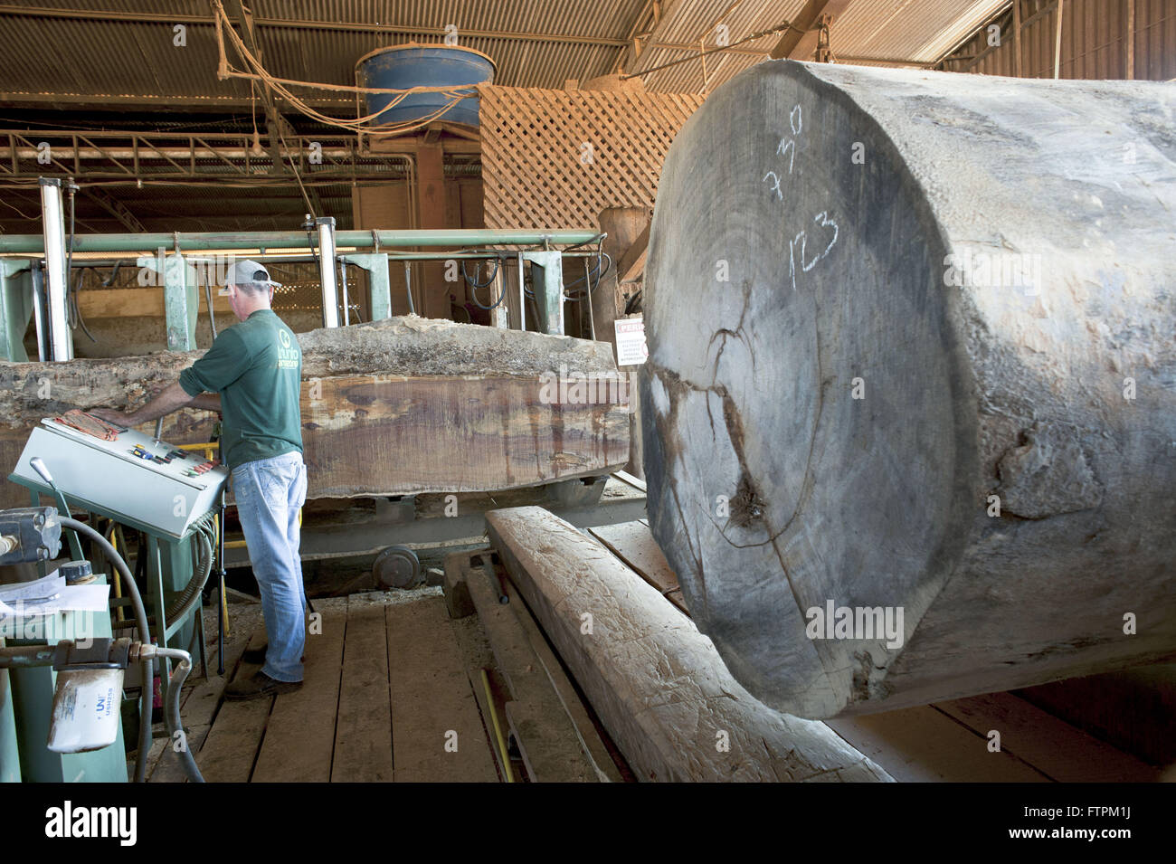 Cumarú tree hi-res stock photography and images - Alamy