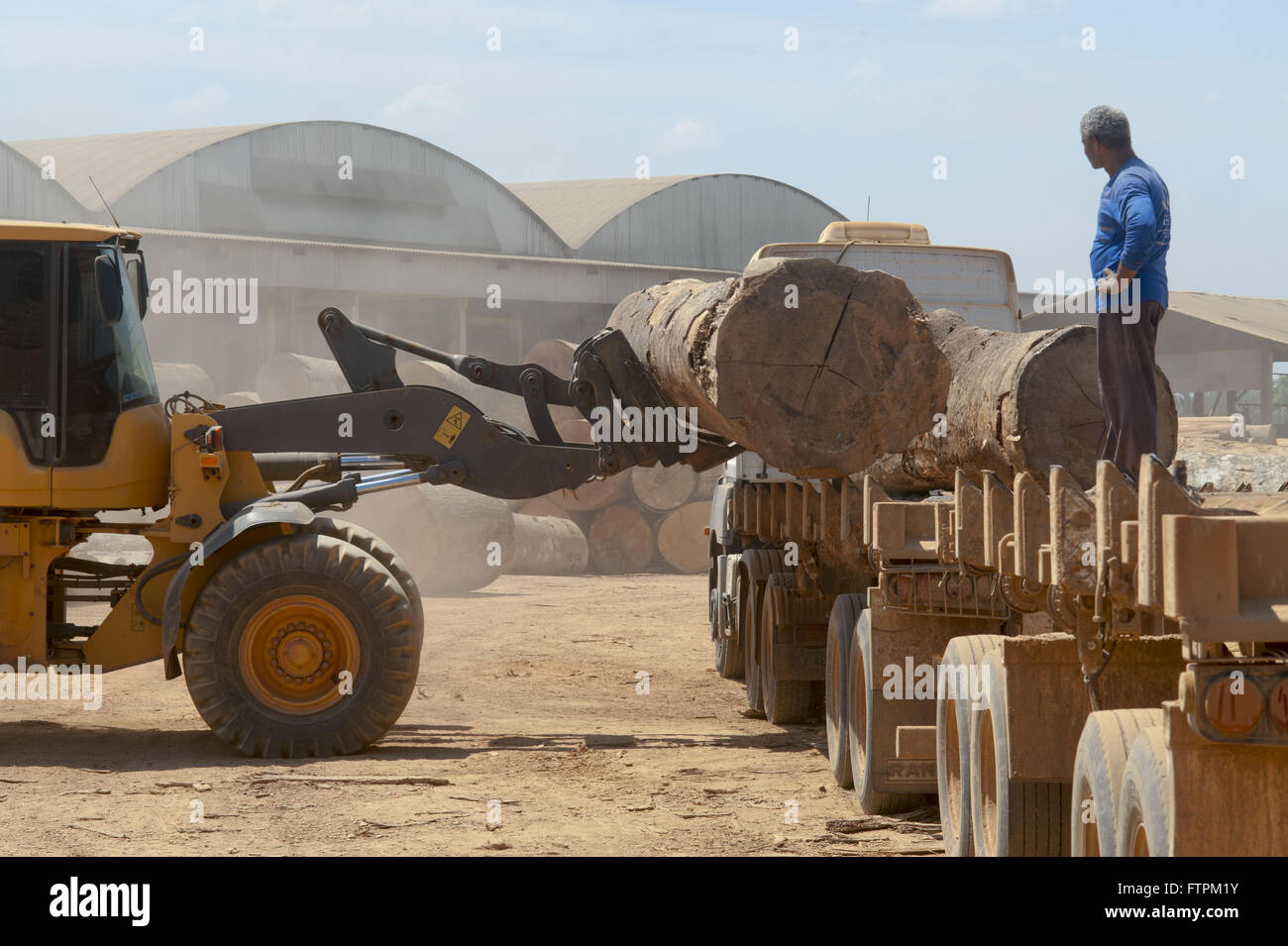 Logging truck carrying logs hi-res stock photography and images - Alamy