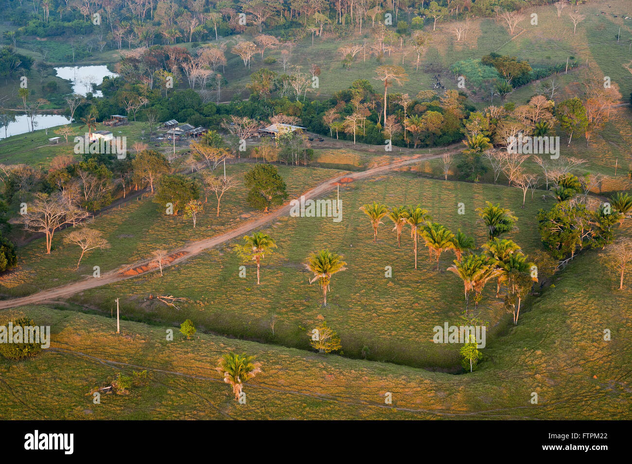 Acre brazil geoglyphs hi-res stock photography and images - Alamy