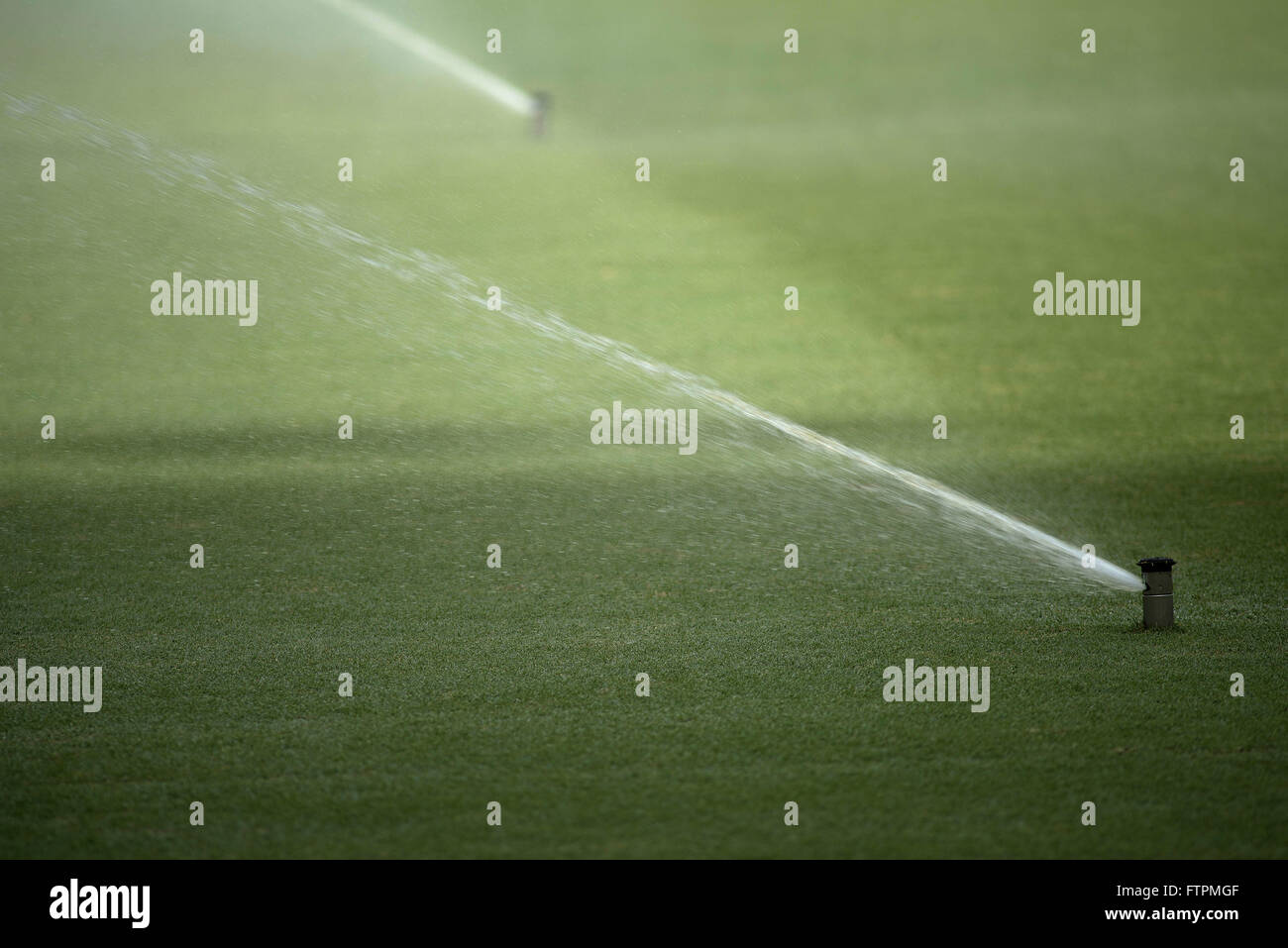 Grass lawn being watered hi-res stock photography and images - Alamy