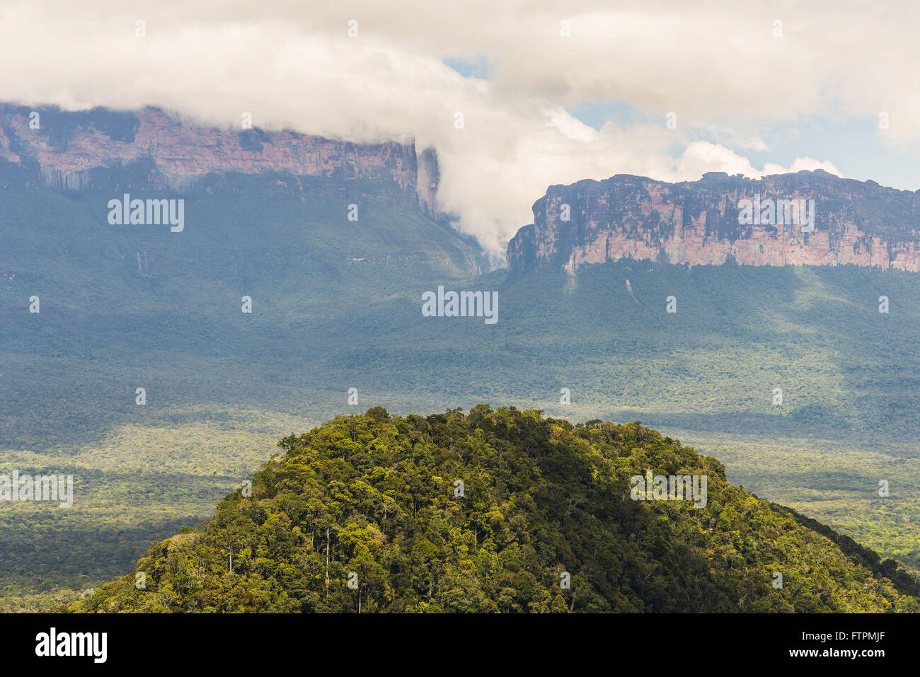 Aerial view of Mount Roraima National Park with emphasis on Mount ...