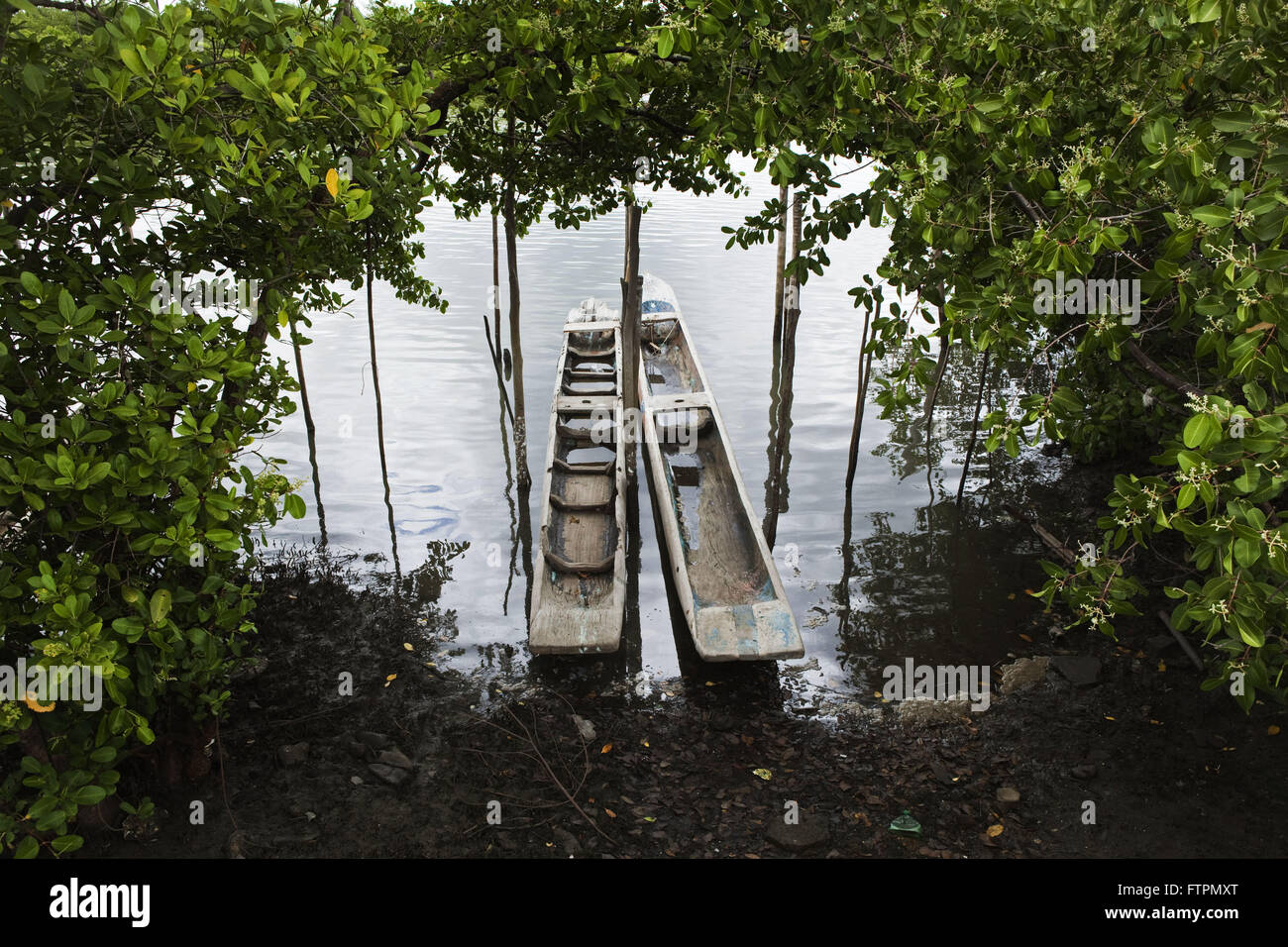 Canoe carved wooden trunk - Reconcavo Baiano Stock Photo - Alamy