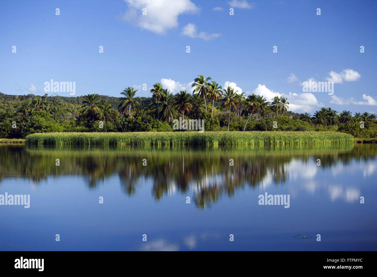 Reconcavo baiano hi-res stock photography and images - Alamy