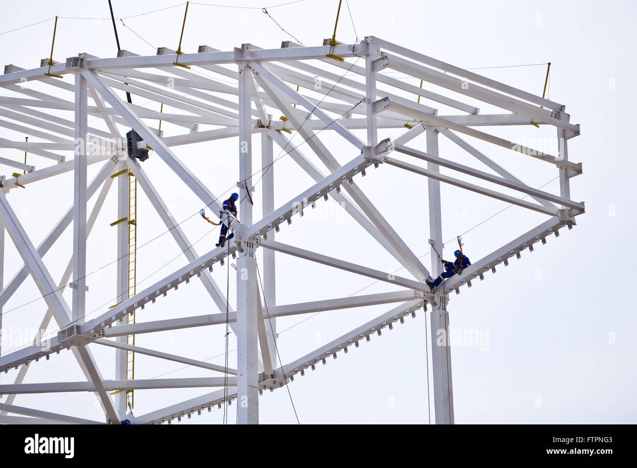 Fluke hi-res stock photography and images - Alamy