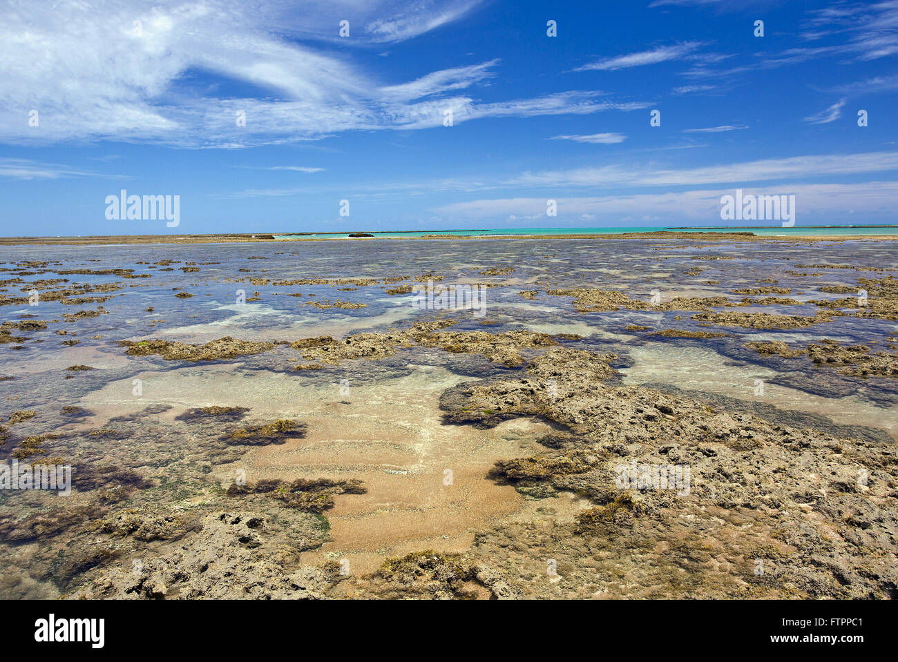 Natural pools formed on the reefs during low tide Stock Photo - Alamy