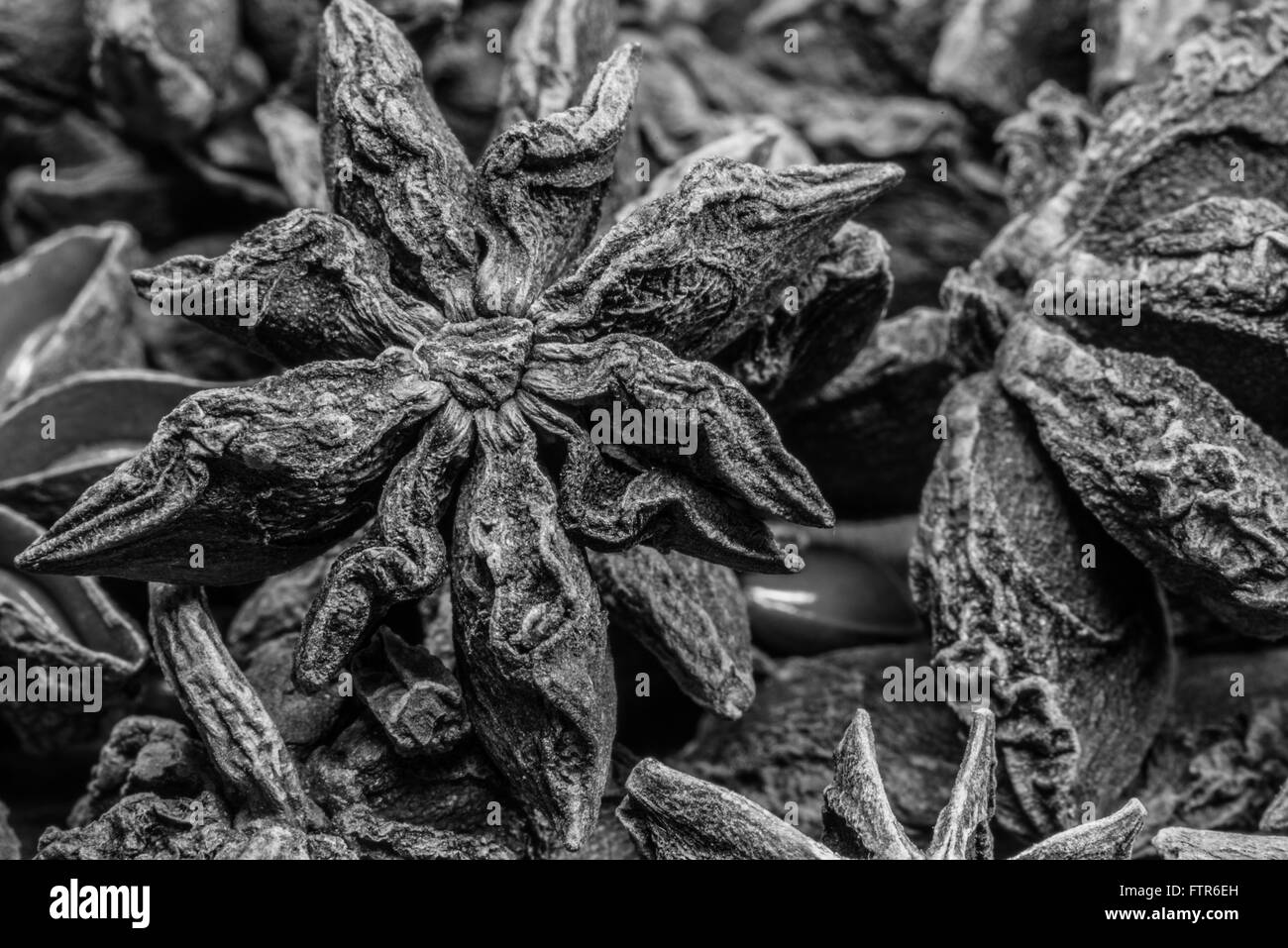 Close up single star Black and White Stock Photos & Images - Alamy