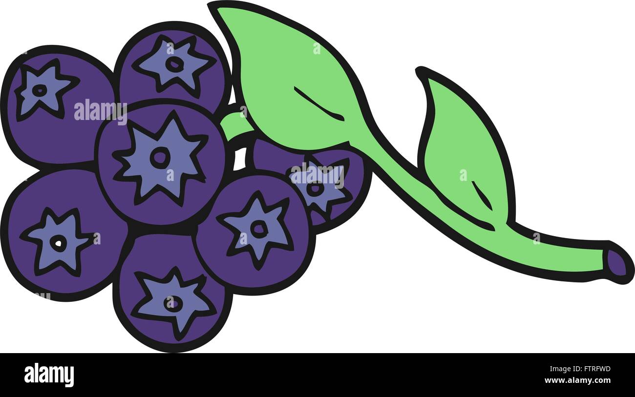 freehand drawn cartoon blueberries Stock Vector Image & Art - Alamy