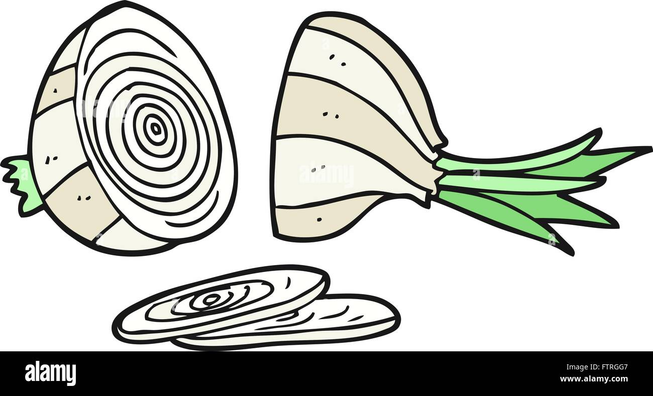 freehand drawn cartoon sliced onion Stock Vector Image & Art - Alamy