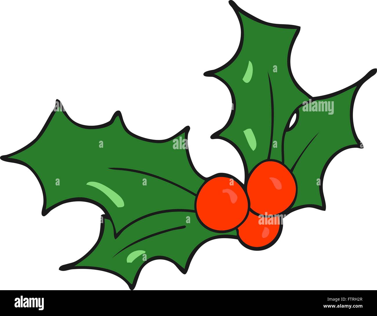 freehand drawn cartoon christmas holly Stock Vector Image & Art - Alamy