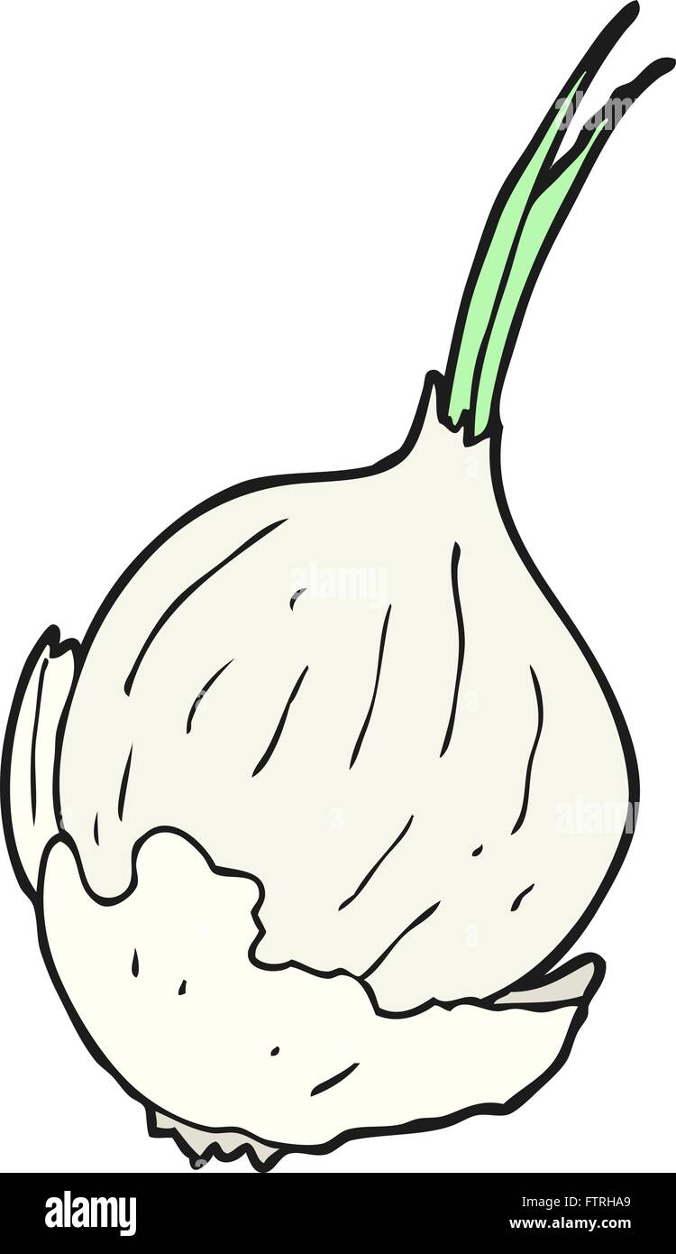 freehand drawn cartoon garlic Stock Vector Image & Art - Alamy