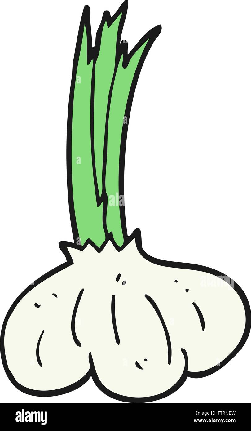 freehand drawn cartoon garlic Stock Vector Image & Art - Alamy