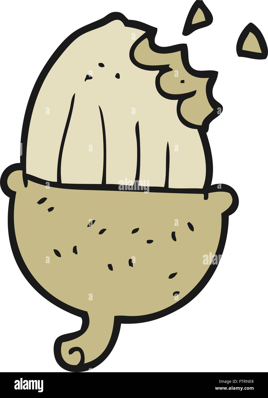 freehand drawn cartoon acorn Stock Vector Image & Art - Alamy