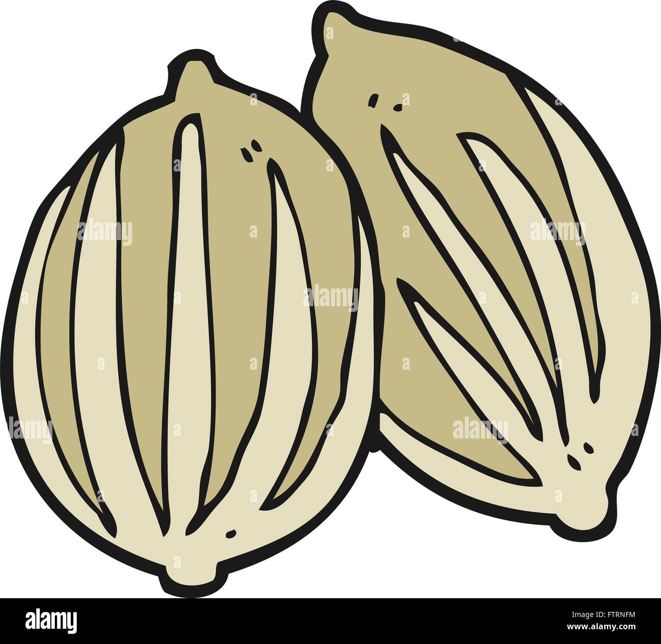 freehand drawn cartoon seeds Stock Vector Image & Art - Alamy