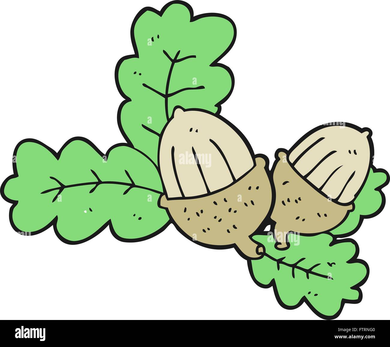 freehand drawn cartoon acorns and leaves Stock Vector Image & Art - Alamy
