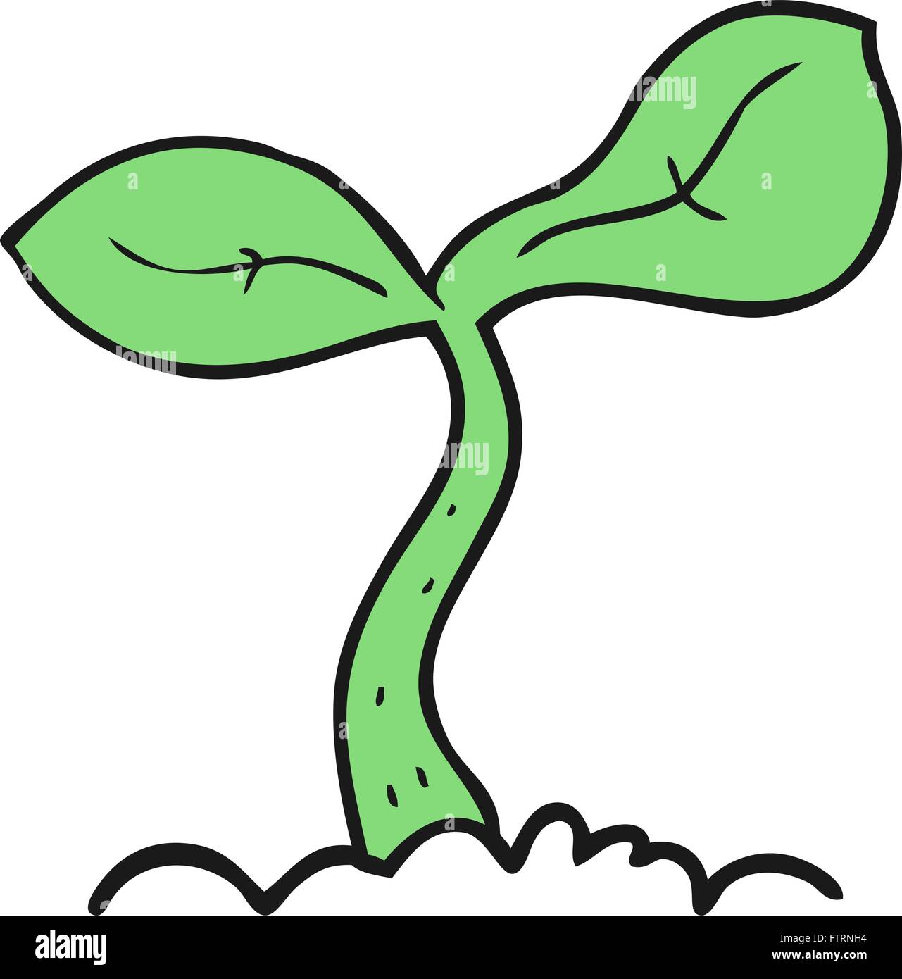 freehand drawn cartoon seedling growing Stock Vector Image & Art - Alamy