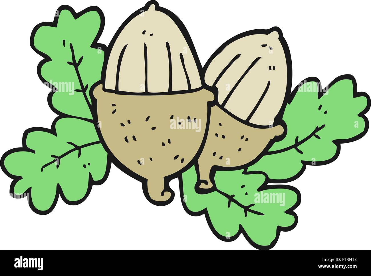 freehand drawn cartoon acorns Stock Vector Image & Art - Alamy