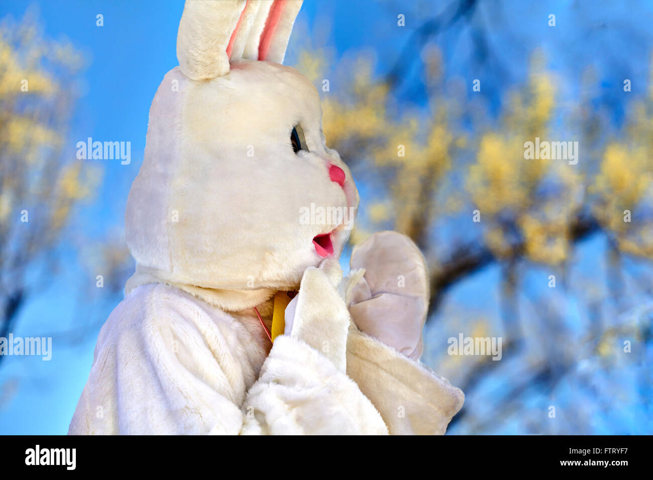 Profile of Easter bunny costume Stock Photo - Alamy