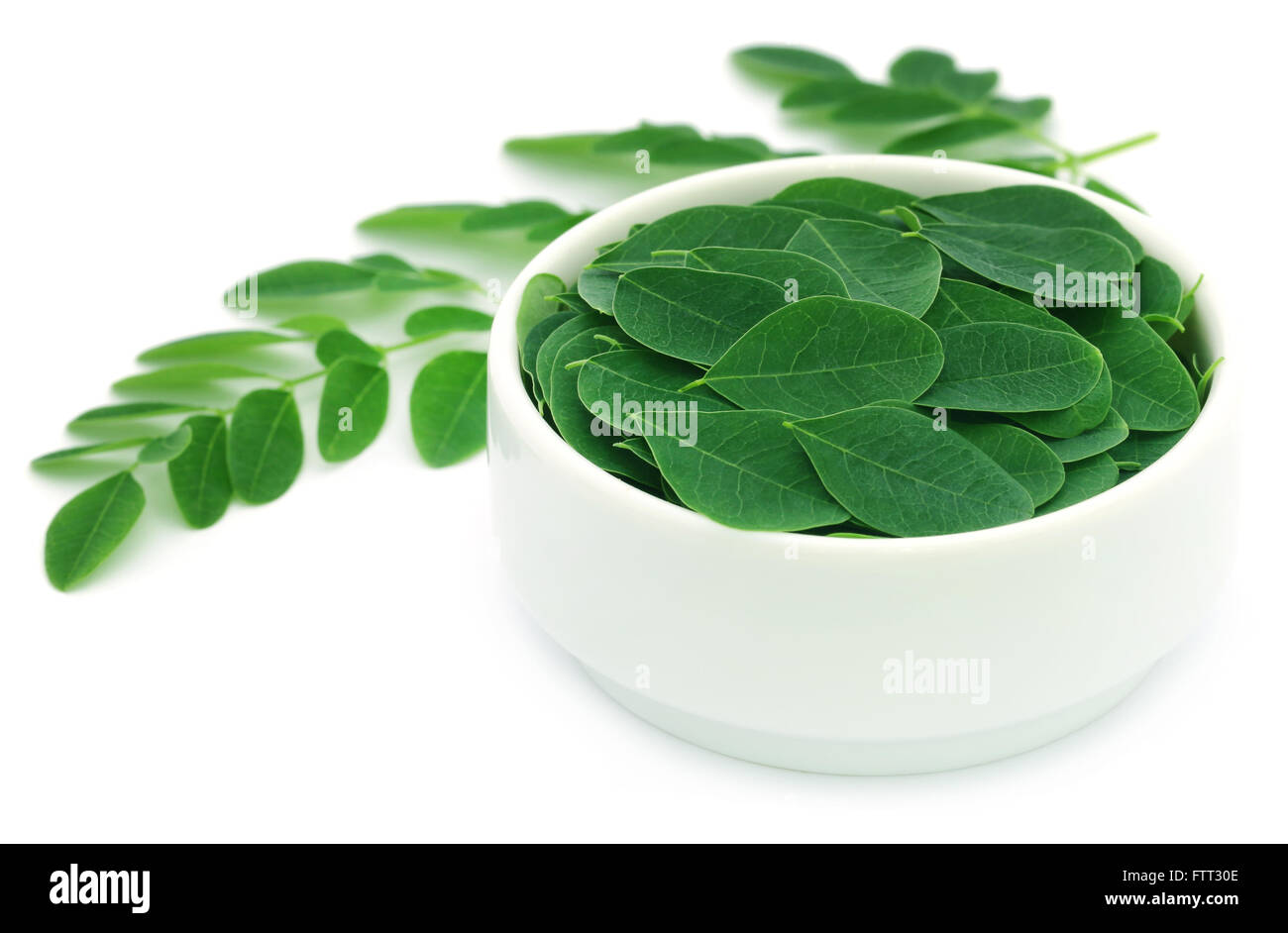 Edible moringa leaves in a white bowl Stock Photo - Alamy