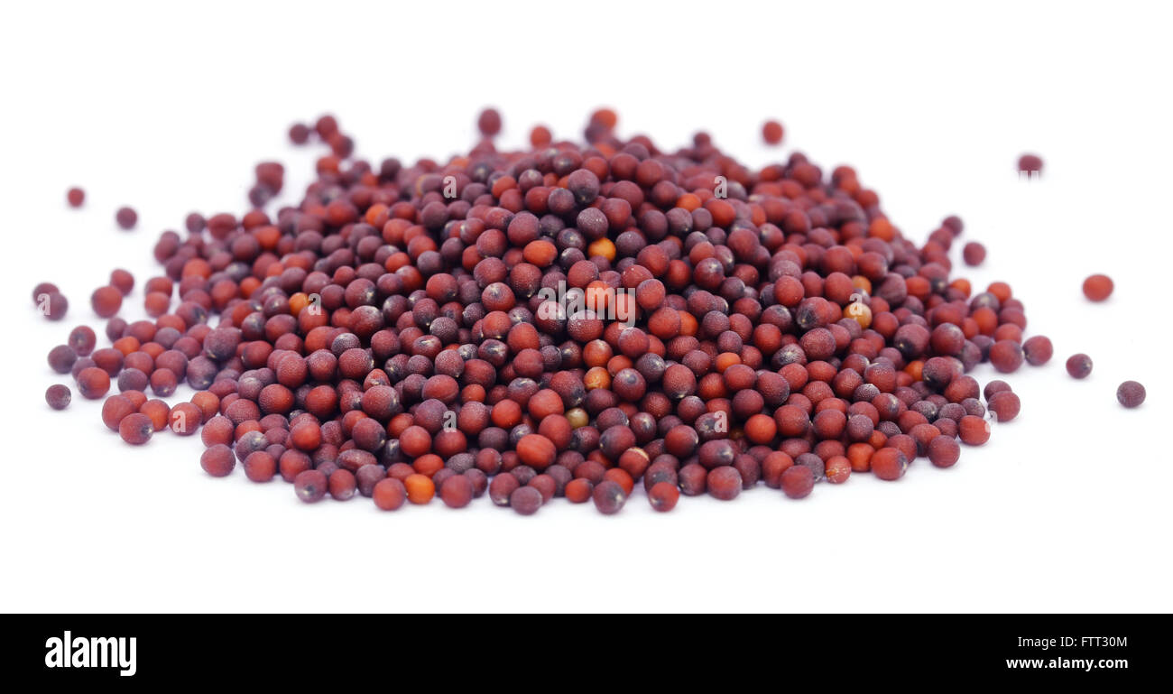 Mustard texture hi-res stock photography and images - Alamy