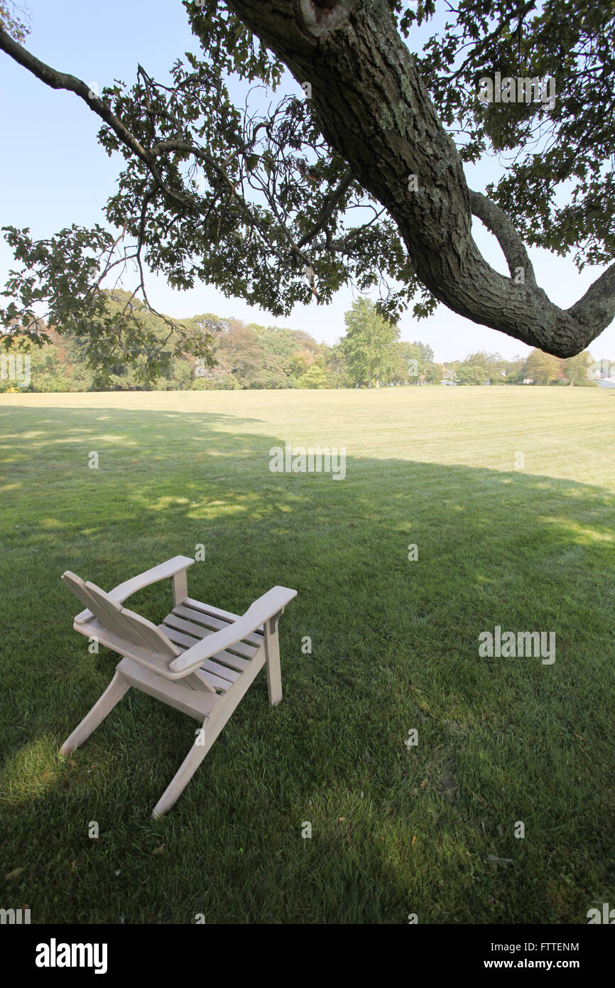 Tree chair hi-res stock photography and images - Alamy