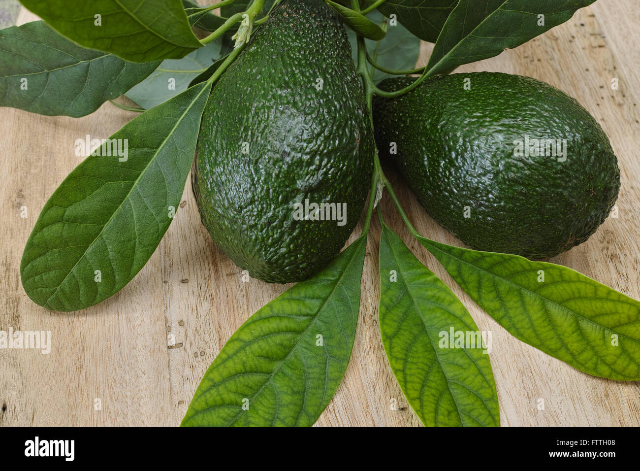 Fresh avocado with avocado leaves on teak wood table top Stock Photo ...