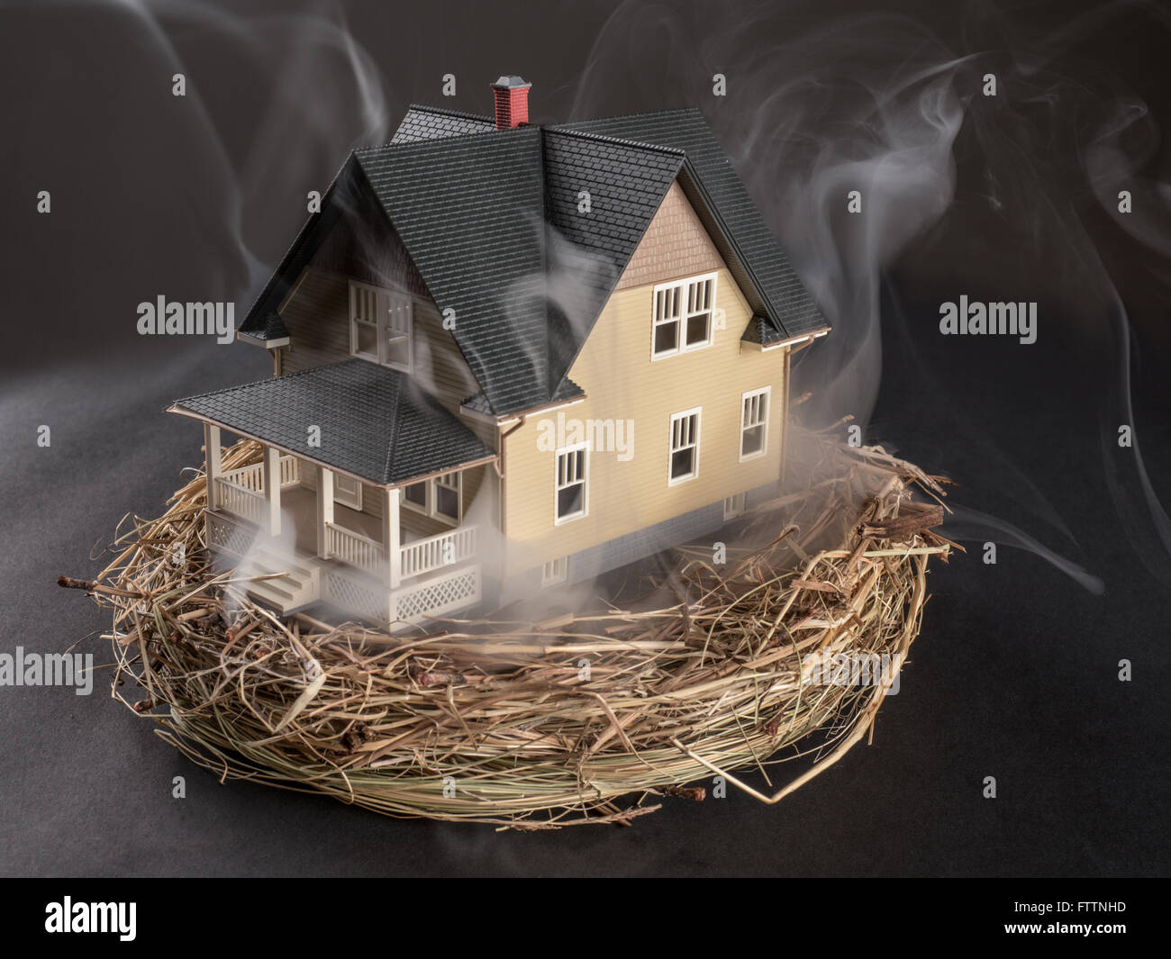 Photograph of a bird's nest with a model house engulfed in smoke ...