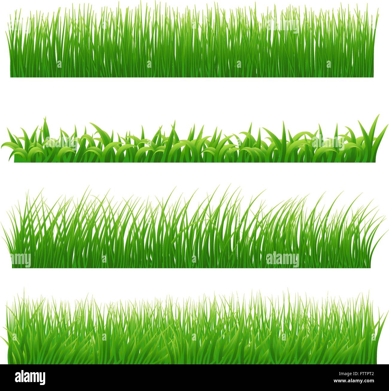 Green grass borders set on white. Vector illustration Stock Vector ...