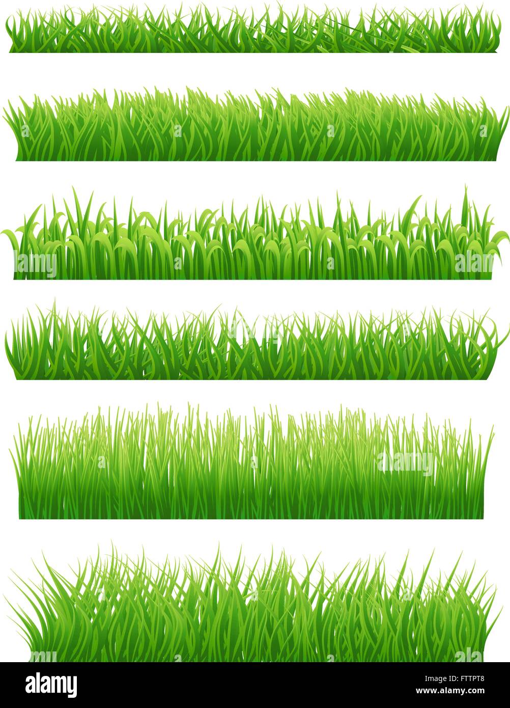 Green grass borders set on white. Vector illustration Stock Vector ...