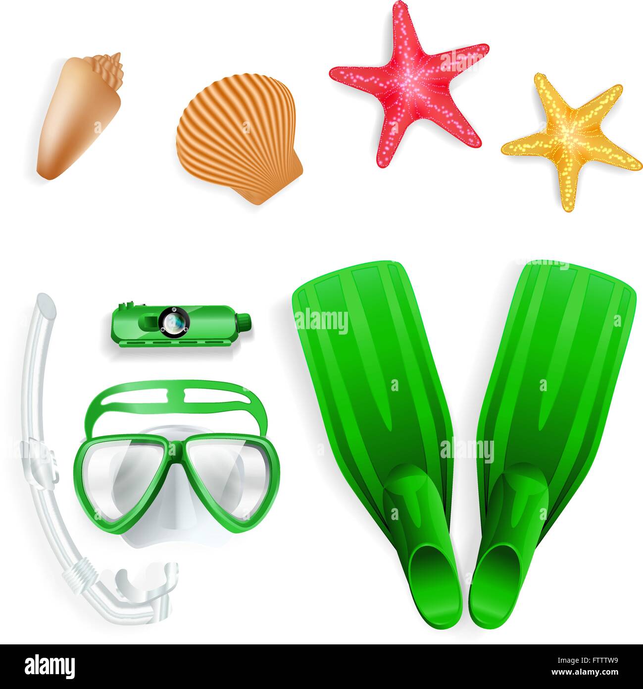 Diving equipment, starfish and sea shells Stock Vector Image & Art - Alamy